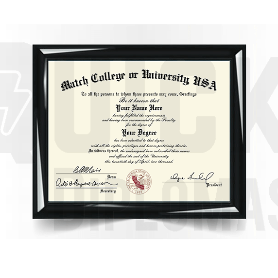 USA College DIploma and Transcript Replacement - Novelty